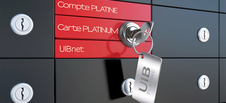 Pack PLATINE - UIB web site